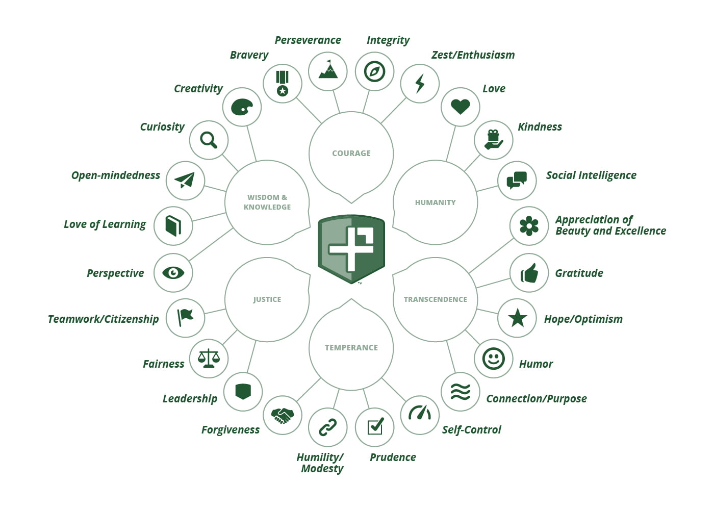 P2_Character-Strengths-and-Virtues-1 - Andy Cleff